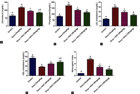 Effect Of N Acetylcysteine On Lipid Profile And Atherogenic Index Ai Download Scientific