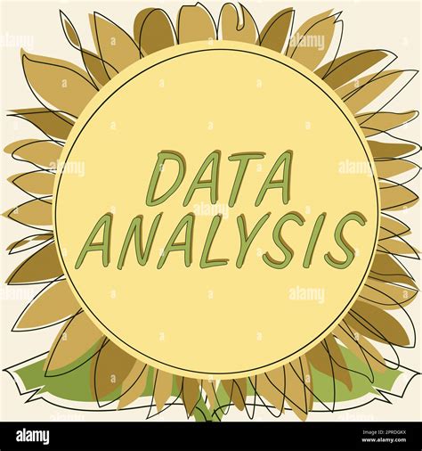 Text Caption Presenting Data Analysis Business Concept Translate