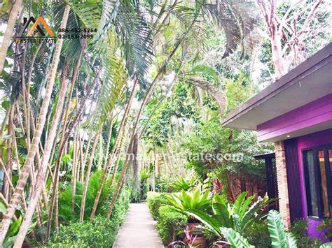 ขายรีสอร์ทสวยพร้อมกิจการไม้ประดับแต่งสวน และ Contact กลุ่มลูกค้าประจำ เนื้อที่ 10 2 21 5 ไร่ มี