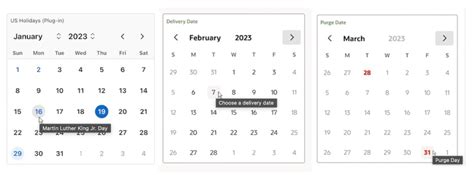 Custom Date Picker Formatting Dive Into Apex