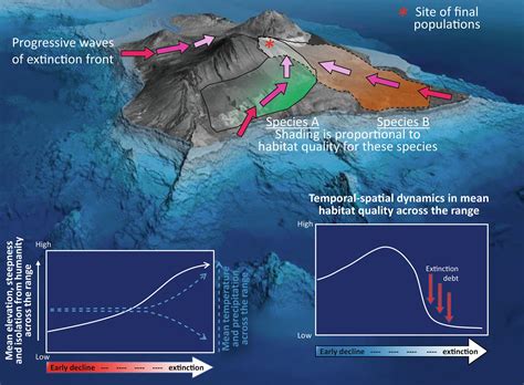 The Ecological And Geographic Dynamics Of Extinction Niche Modeling And Ecological