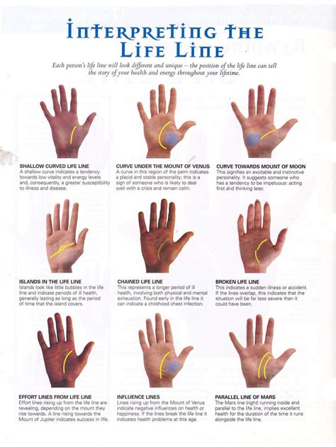 palmistry for dummies read your own palm naomi d souza writer