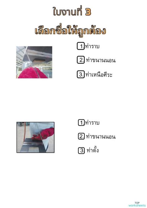 ใบงานที่ 3 Checkbox ใบงานเชิงโต้ตอบ Topworksheets