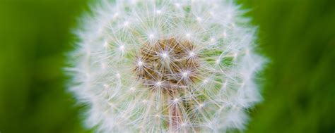 Jquery Slider With Next And Previous Buttons Jquery Slider Wordpress