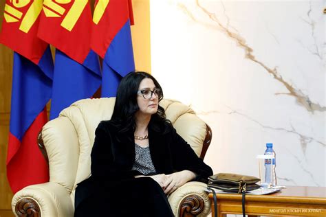 “Оюутолгой” ХХК ийн Гүйцэтгэх захирал Дэйрдрэ Лингенфэлдерийг хүлээн авч уулзлаа