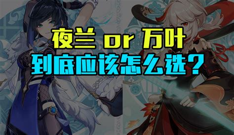 抽夜兰还是等万叶？原石不够选哪个？一篇文章告诉你答案！原神 3楼猫