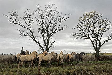 Los Primeros Gauchos De Argentina San Antonio De Areco