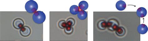 Magnetic Click Colloidal Assembly Journal Of The American Chemical Society