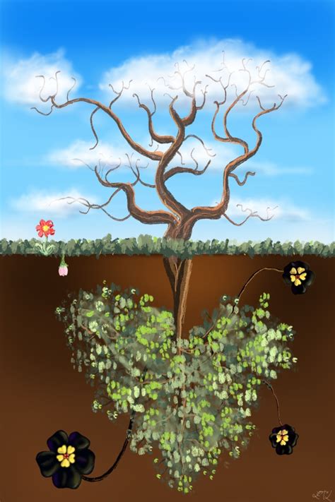 Introversion The Introverted Tree