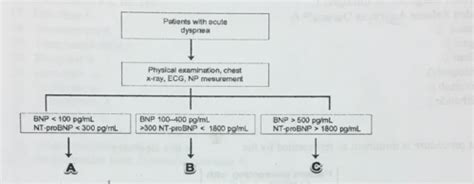 Pharm Tox II Exam Old Questions Flashcards Quizlet Pharm Tox II Exam Old Questions Flashcards Quizlet