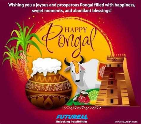 Balasubramanian Sivakumar On Linkedin Happypongal Pongalcelebrations Harvestfestival