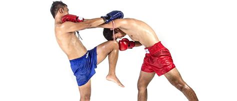 Кикбоксинг что это что за спорт для детей википедия такое