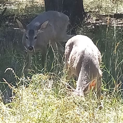 Malachi Johnson Youtube