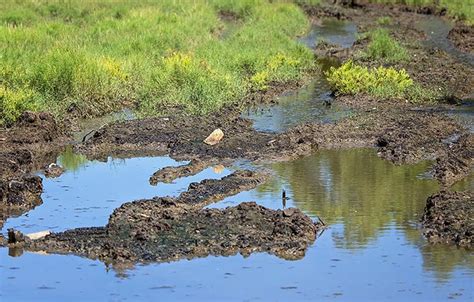 Services M7 Pipeline Maintenance