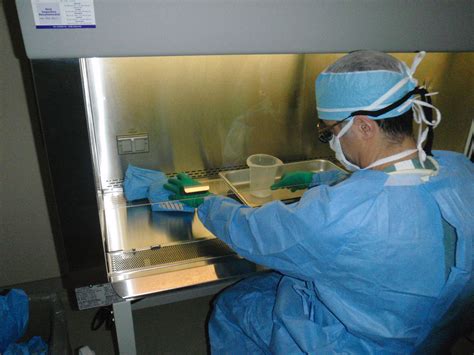 Human Islet Isolation Procedure Human Islet Transplant Laboratory