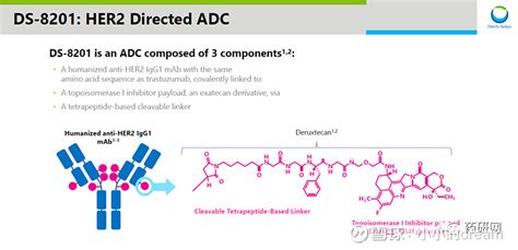 Ds8201必知的10件事 1、谁是adc领域的王者？ds 8201当仁不让。销售额说明一切。2019年底获批上市，治疗her2阳性乳腺癌，凭借优异 雪球