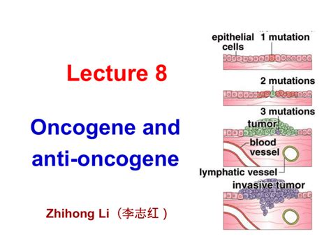 Oncogenes And Anti Oncogenes Cancer Biology Lecture