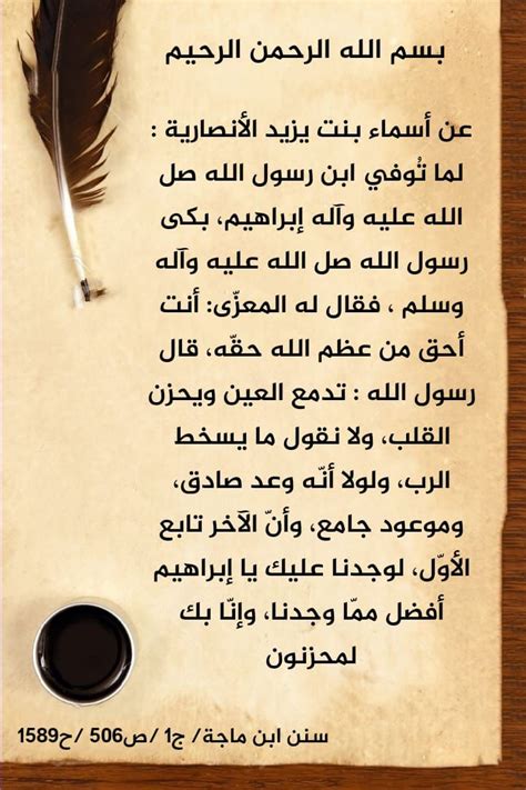 اسماء بنات اهل البيت لاينز