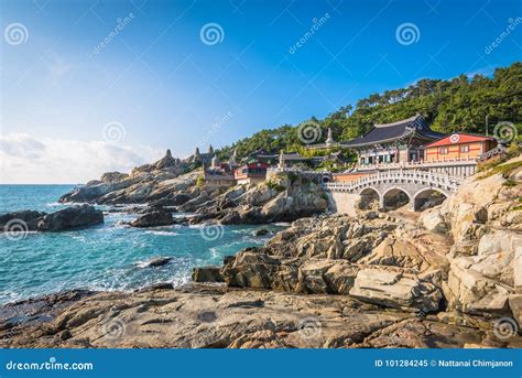 Tempio Di Haedong Yonggungsa A Busan Corea Del Sud Immagine Stock Immagine Di Corsa Buddista