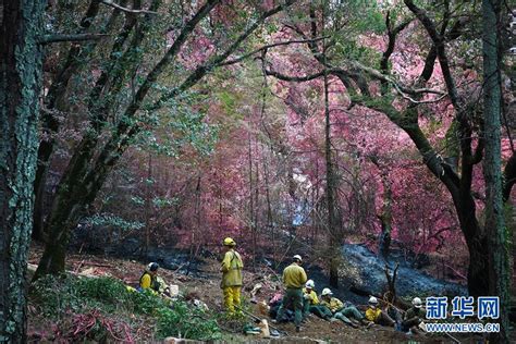美国加州北部山林大火火情缓解 组图 图片中国中国网