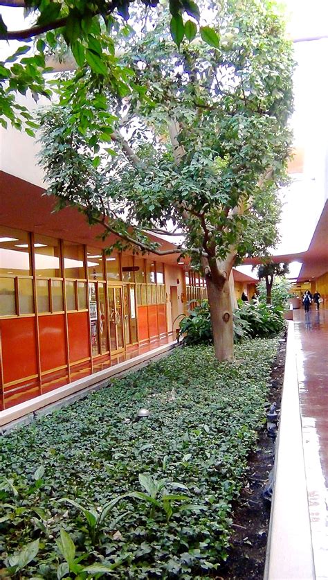 Frank Lloyd Wrights Marin County Civic Center Book Of 66 Photos Is Now
