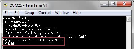 ESP8266 MicroPython Simple Variables Techtutorialsx