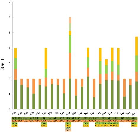 relative synonymous codon usage rscu in the mitogenomes of vignadula
