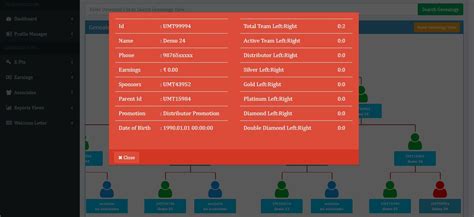 Australian Binary Mlm Software By Domainsrock Codester