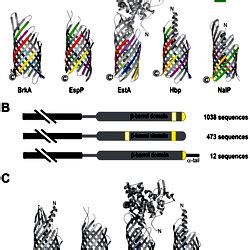Conserved Sequence Motifs Are Not Spatially Conserved In Tertiary