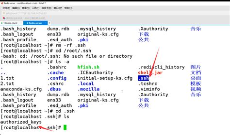 Redis未授权访问漏洞四ssh Key免密登录redis写sshkey Csdn博客