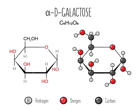 Galactose Molecule Structure