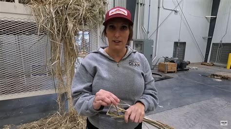 Large Scale Hemp Processing Pot Tv