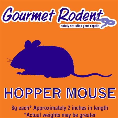 Frozen Hopper Mouse 1 Count Petco Reptiles Pet Diet Cat Food