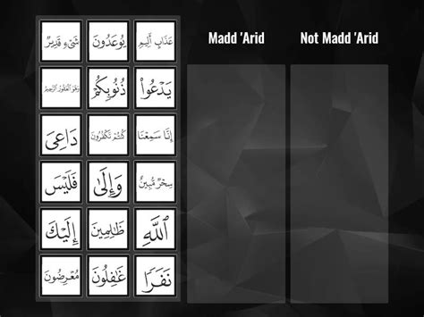 Unit 20c Game 02 Madd Arid Group Sort