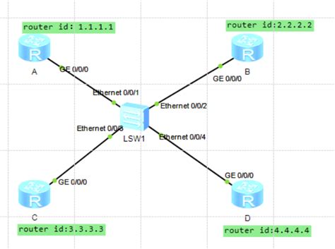 配置 Ospf 的 Dr 选择示例 Renqy 博客园