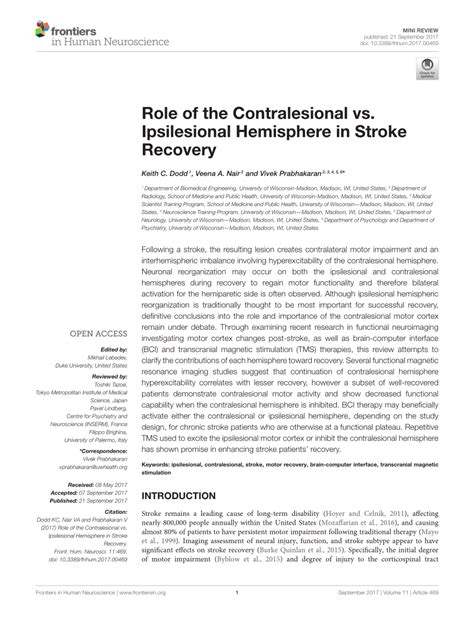 Pdf Role Of The Contralesional Vs Ipsilesional Hemisphere In Stroke