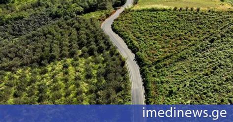 ქობულეთში ჩაისუბნის მე 7 რაიონის 2 28 კმ სიგრძის მონაკვეთზე ასფალტ ბეტონის საფარი დაიგო