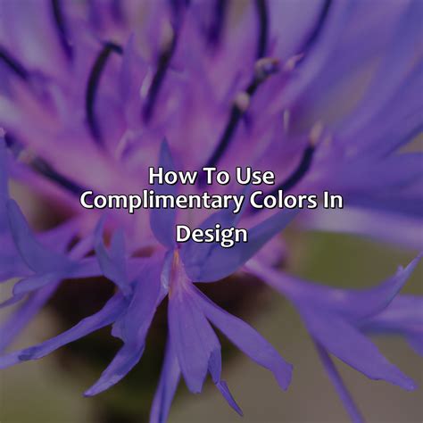 What Color Compliments Purple