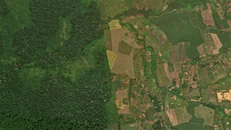 Considerations For Mapping Reforested Land With Smallholder Farmers