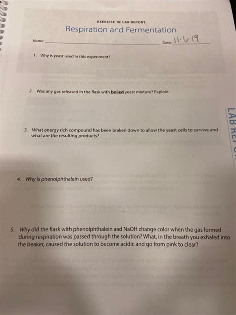 Solved EXERCISE 11 Pre Lab Questions Babe Pre Lab Chegg Com