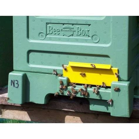 6 Frame Medium Langstroth Poly Nucleus Hive Modern Beekeeping