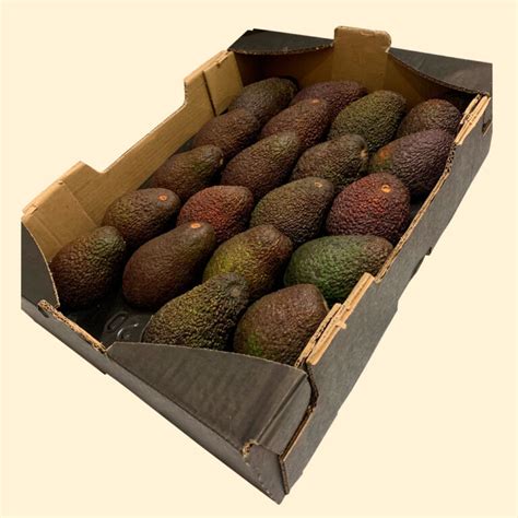 Авокадо фрукты ягоды и овощи оптом — Свежие фрукты и овощи оптом Москва область Россия