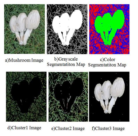 Color Segmentation Map And Cluster Images Download Scientific Diagram
