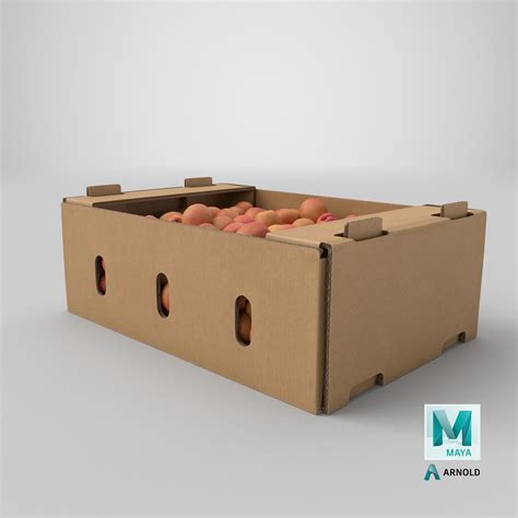 살구 게임 준비와 골 판지 디스플레이 상자 01 1 3d 모델 49 Max Fbx C4d Ma Obj Free3d
