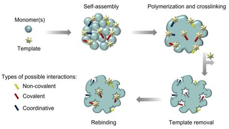 Chemosensors Mdpi On Linkedin Review Recommendation Biomimetics Sensors Molecularly