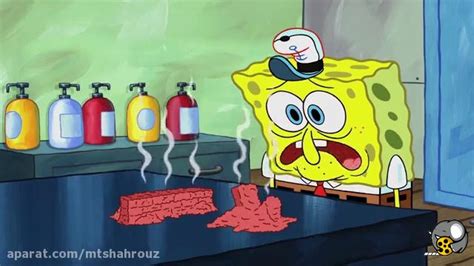 کارتون باب اسفنجی پاتریک اسب فیلو