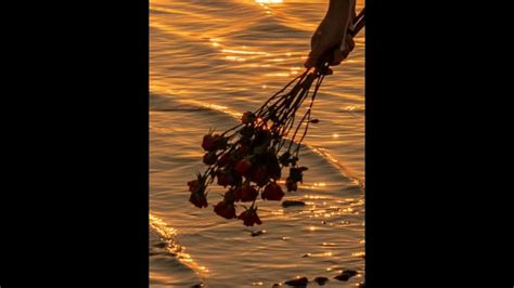 ინოლა გურგულია მოვალ დაგინთებ ალებს კარაოკე ტექსტი👇 Youtube