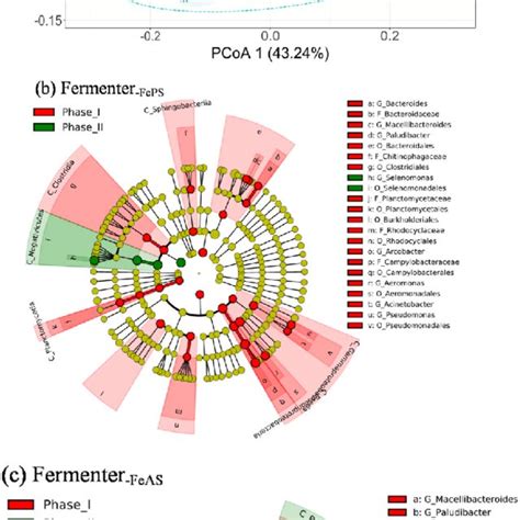 Network Analysis Reveals The Co Occurrence Patterns Among Genera Nodes