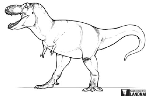 티라노사우루스 색칠 공부 Kr에서 무료 색칠 공부