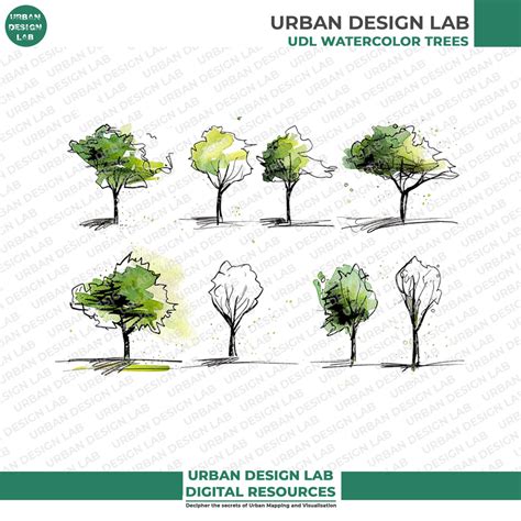Sketchy Trees Transparent PNG